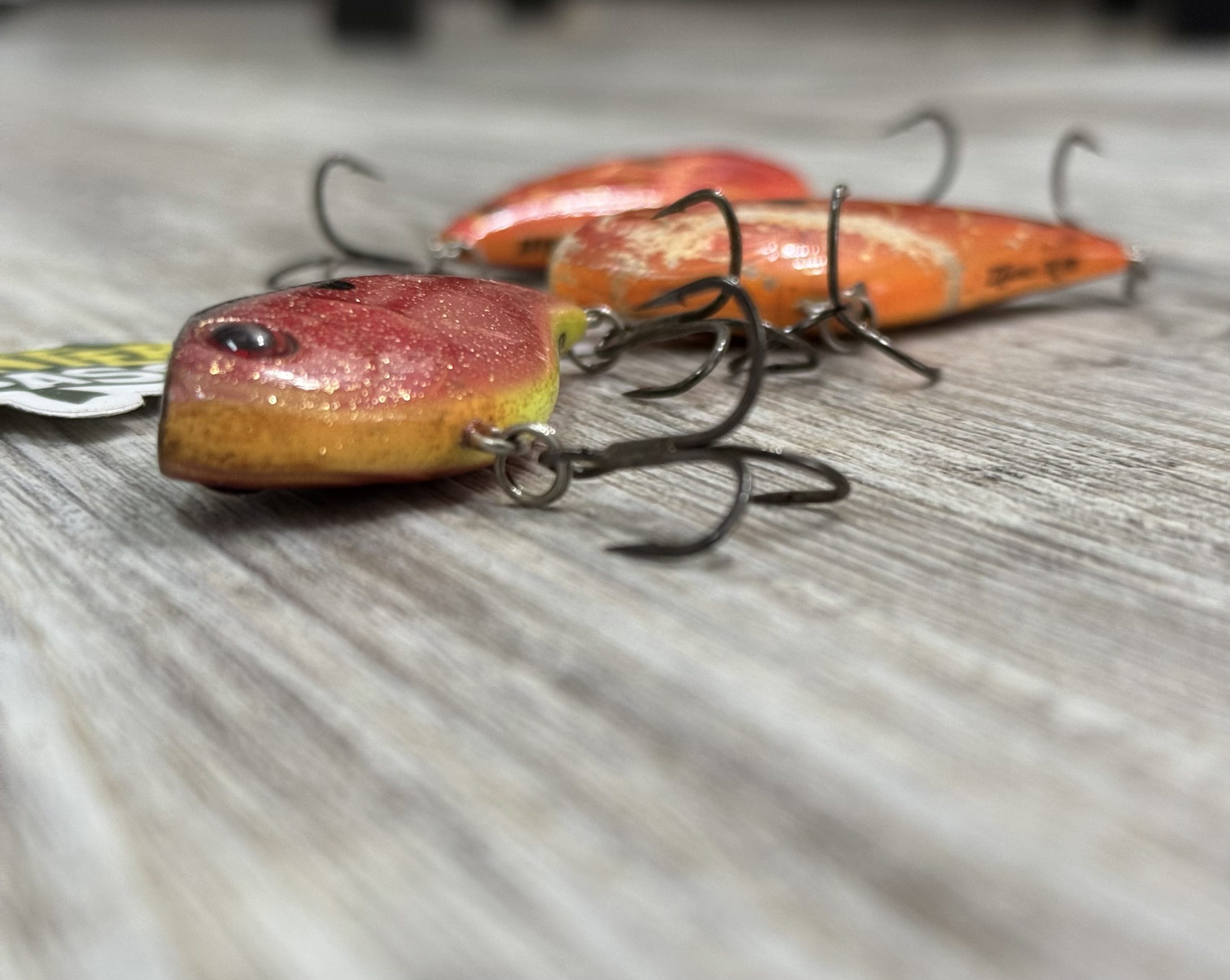 The Legendary Red Rattle Trap on Lake Guntersville in Spring